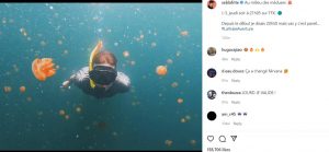 Seb la Frite Wiki, Taille, Âge, Petite Amie, Famille, Biographie & Plus ...